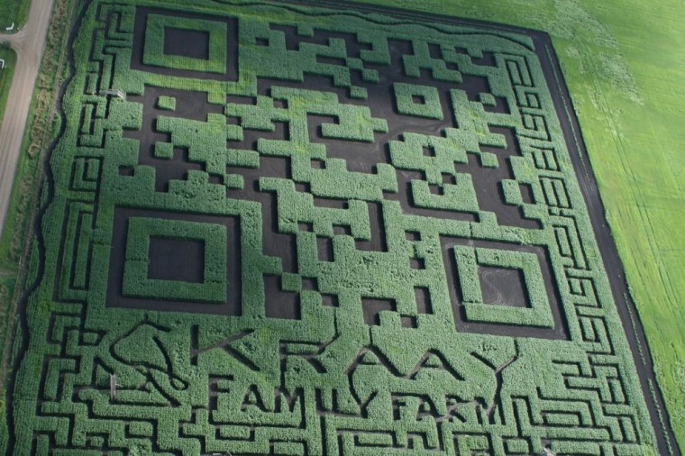 Get lost in these 5 amazing corn mazes